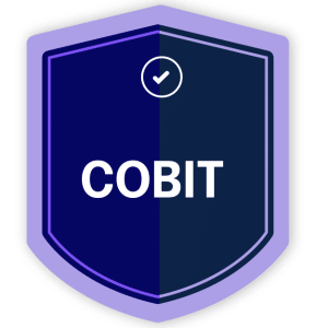 Why you should consider the COBIT for IT governance